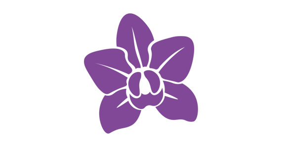 Orchid Medicity